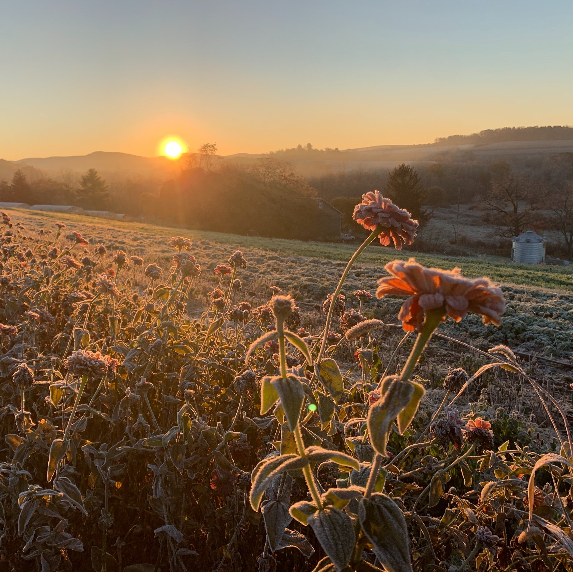 Meet Your Farmers – Katydid Hill Farm